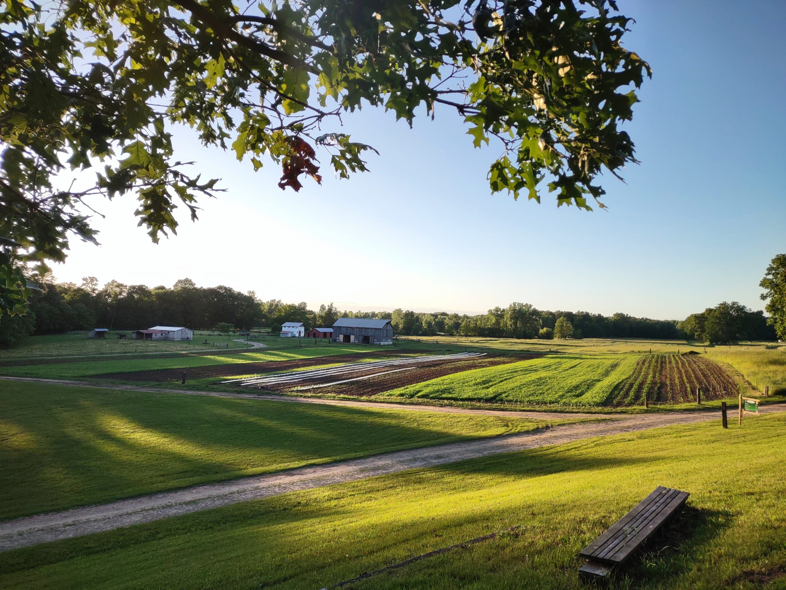 Utility Plants - Tillers International